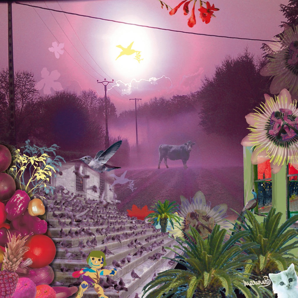 Super collage photo créatif ! - Bouge ta créativité